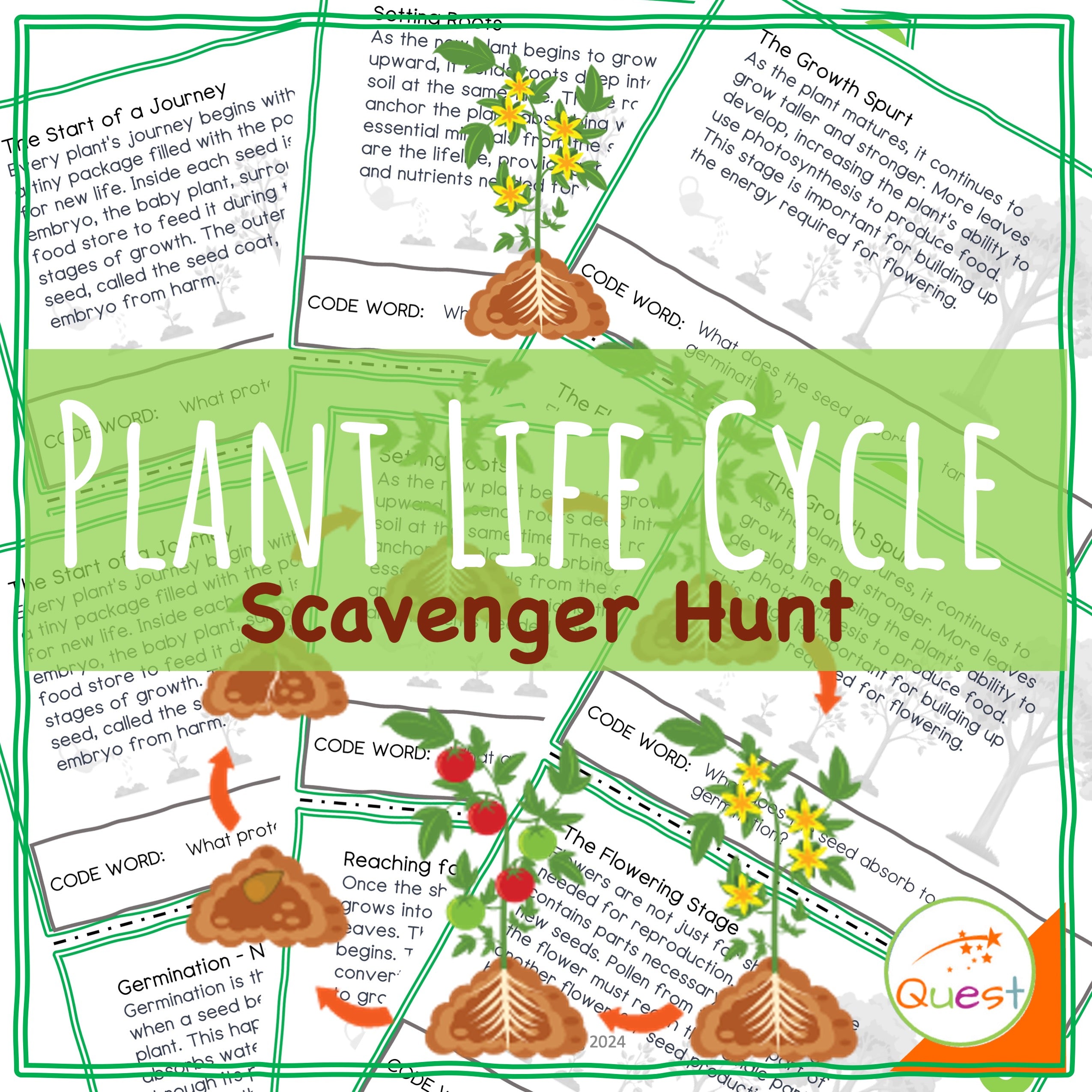 Plant Life Cycle Educational Scavenger Hunt for Kids 9-11 – Quest Schooling
