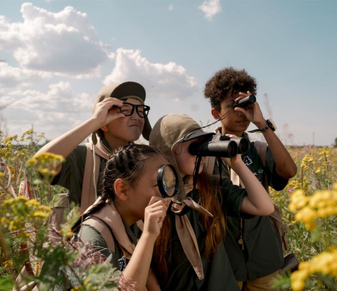 How to Start Project Based Learning for Homeschoolers – Quest Schooling